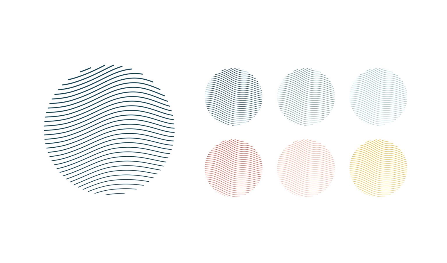 UiO – Promenta – Anagram Design